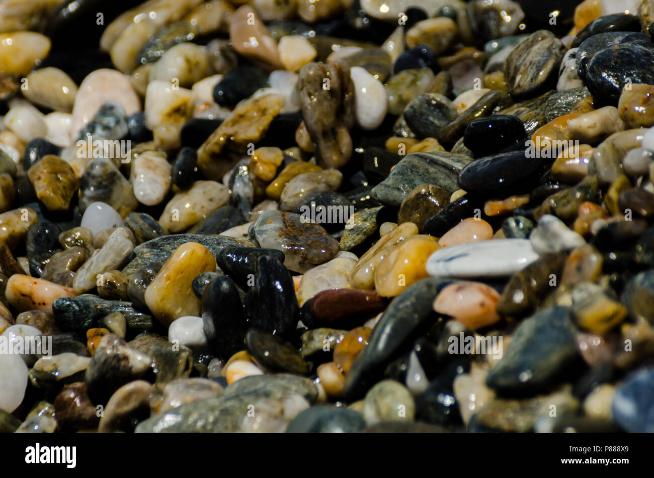 pebble beach washed by sea waves, small and various stones forming the ...