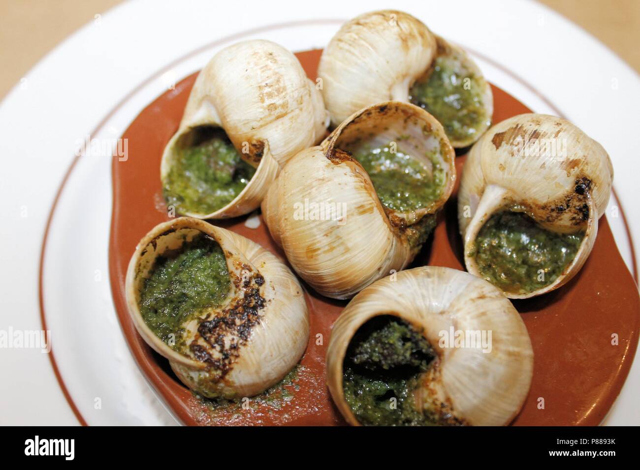 Typical snails hi-res stock photography and images - Alamy