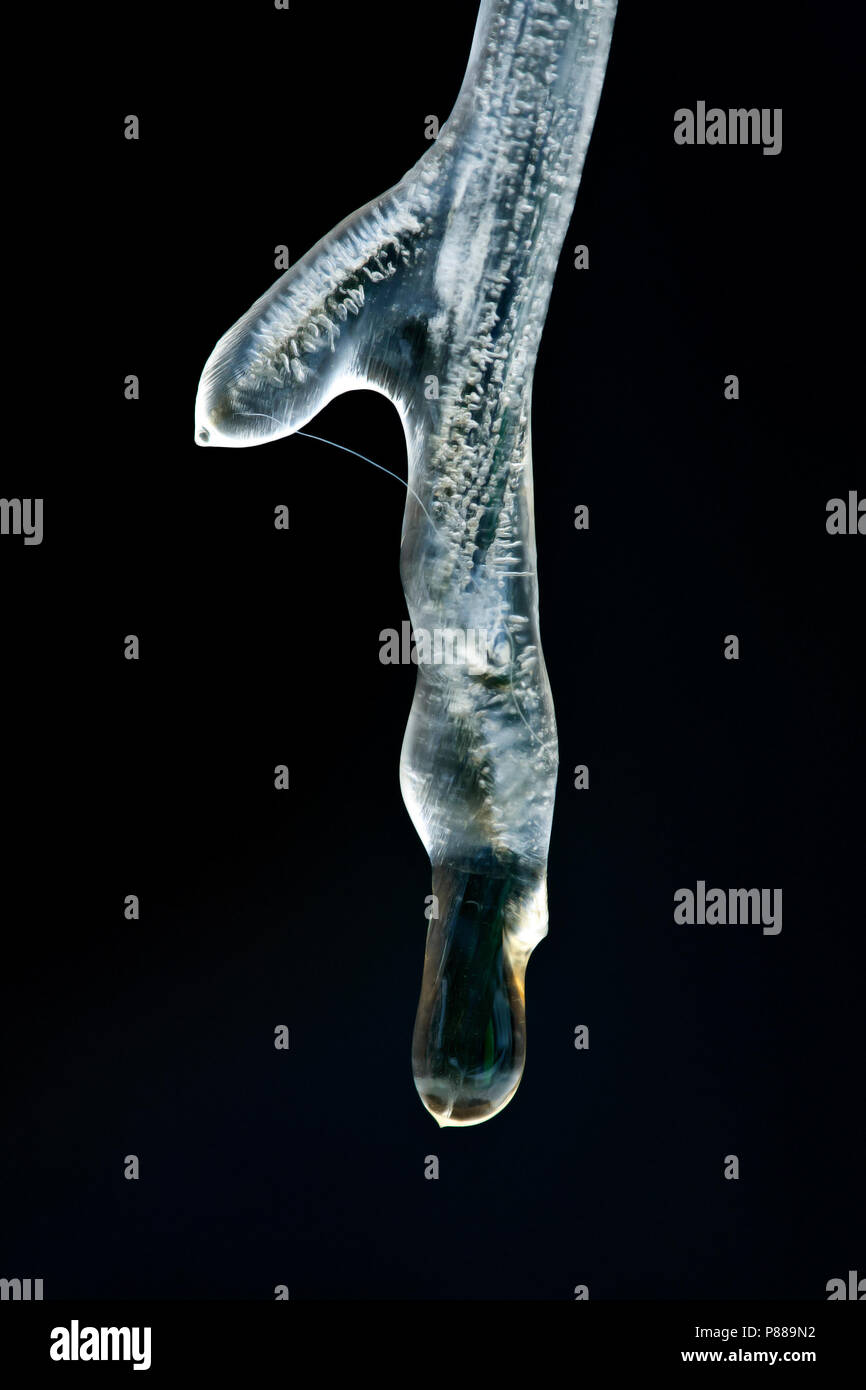 Melting ijs High Resolution Stock Photography and Images - Alamy