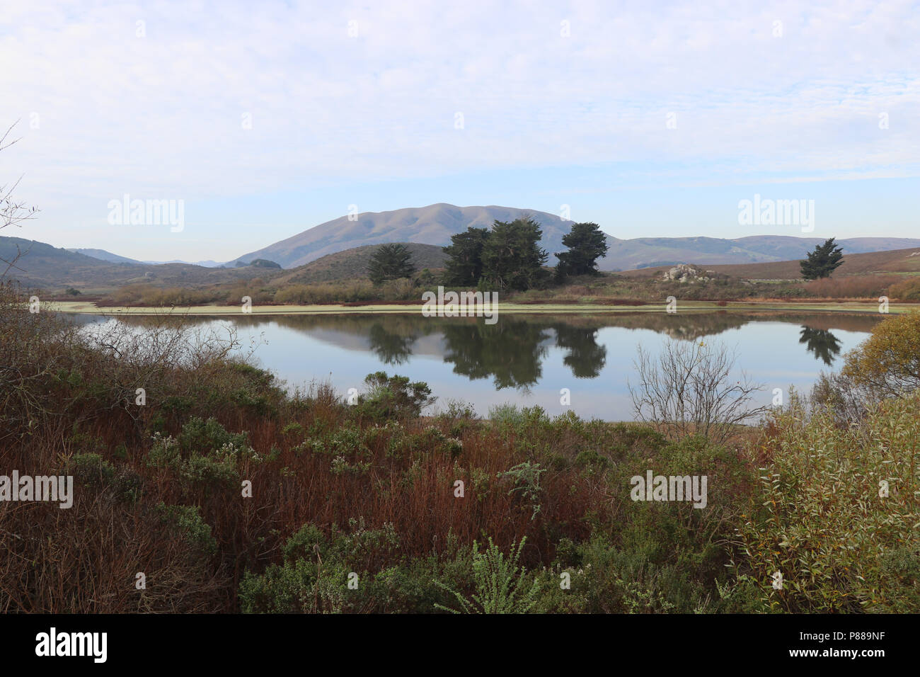 Nicasio reservoir hi-res stock photography and images - Alamy