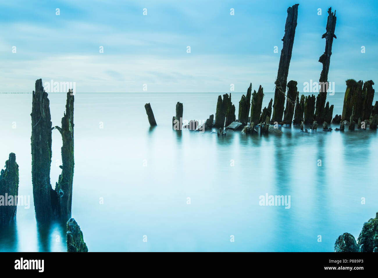 Oude palen bij Marderhoek, Old poles at Marderhoek Stock Photo - Alamy