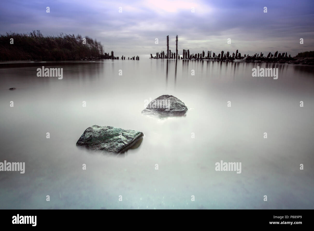 Oude palen bij Marderhoek, Old poles at Marderhoek Stock Photo - Alamy