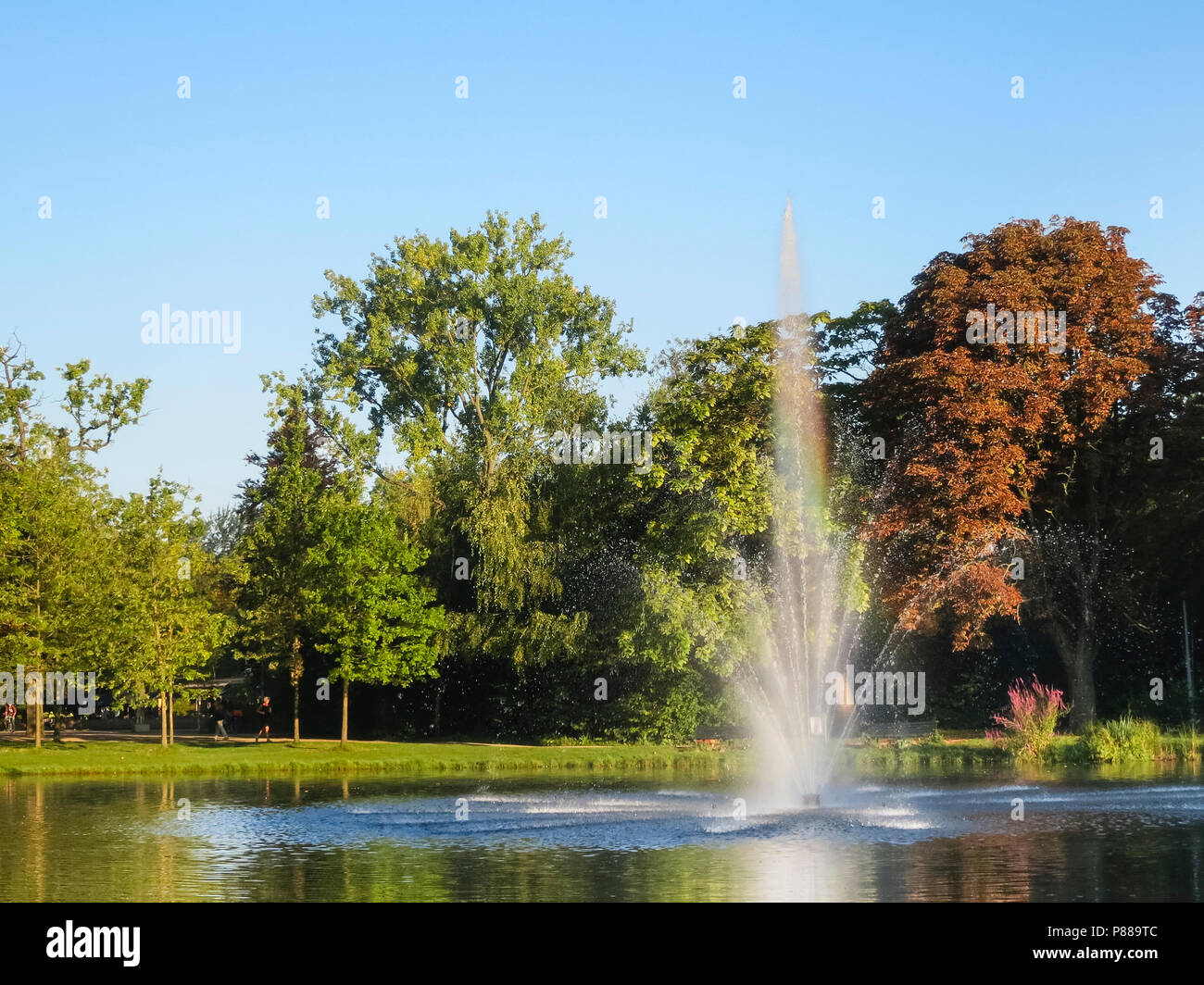 Amsterdam vondelpark lake summer hi-res stock photography and images ...