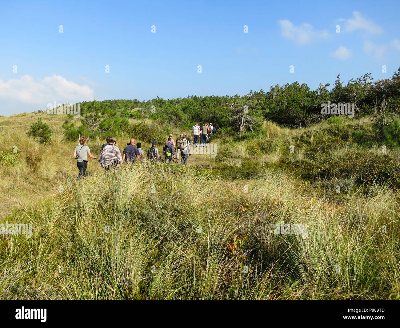 Groep vogelaars lopend in duinen op Vlieland; Group of birders walking ...