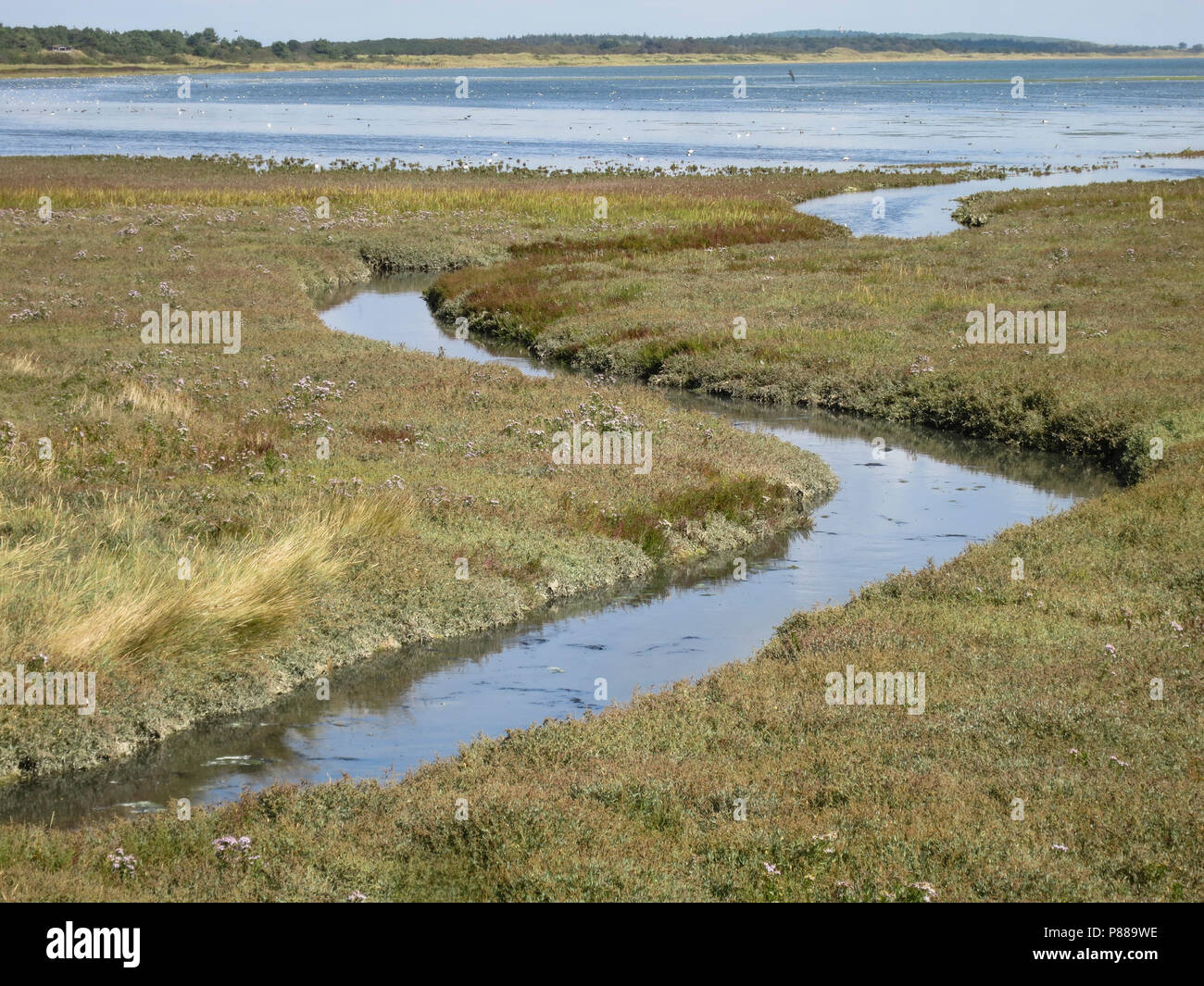 Island vlieland netherlands hi-res stock photography and images - Alamy