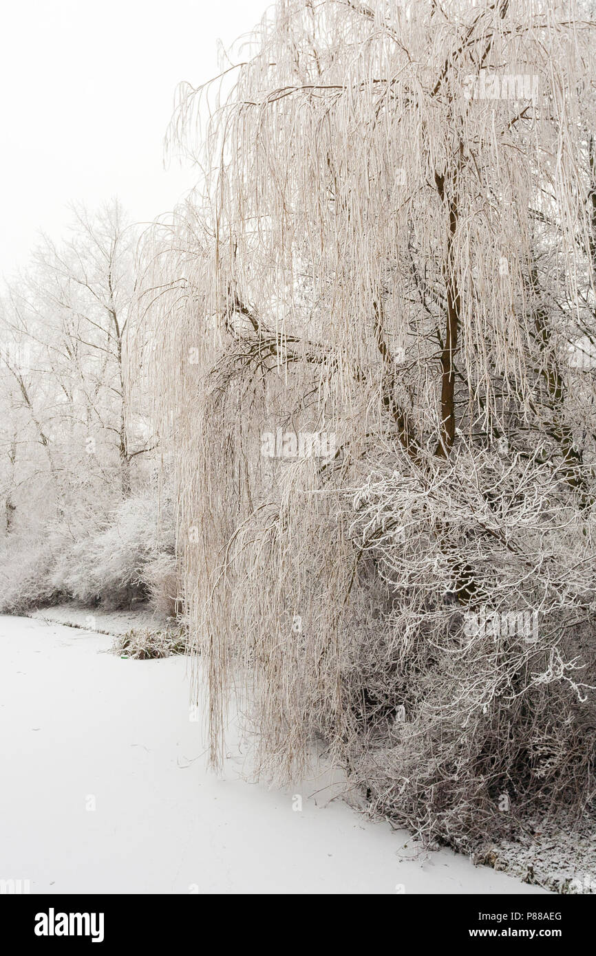 Den frost hi-res stock photography and images - Alamy