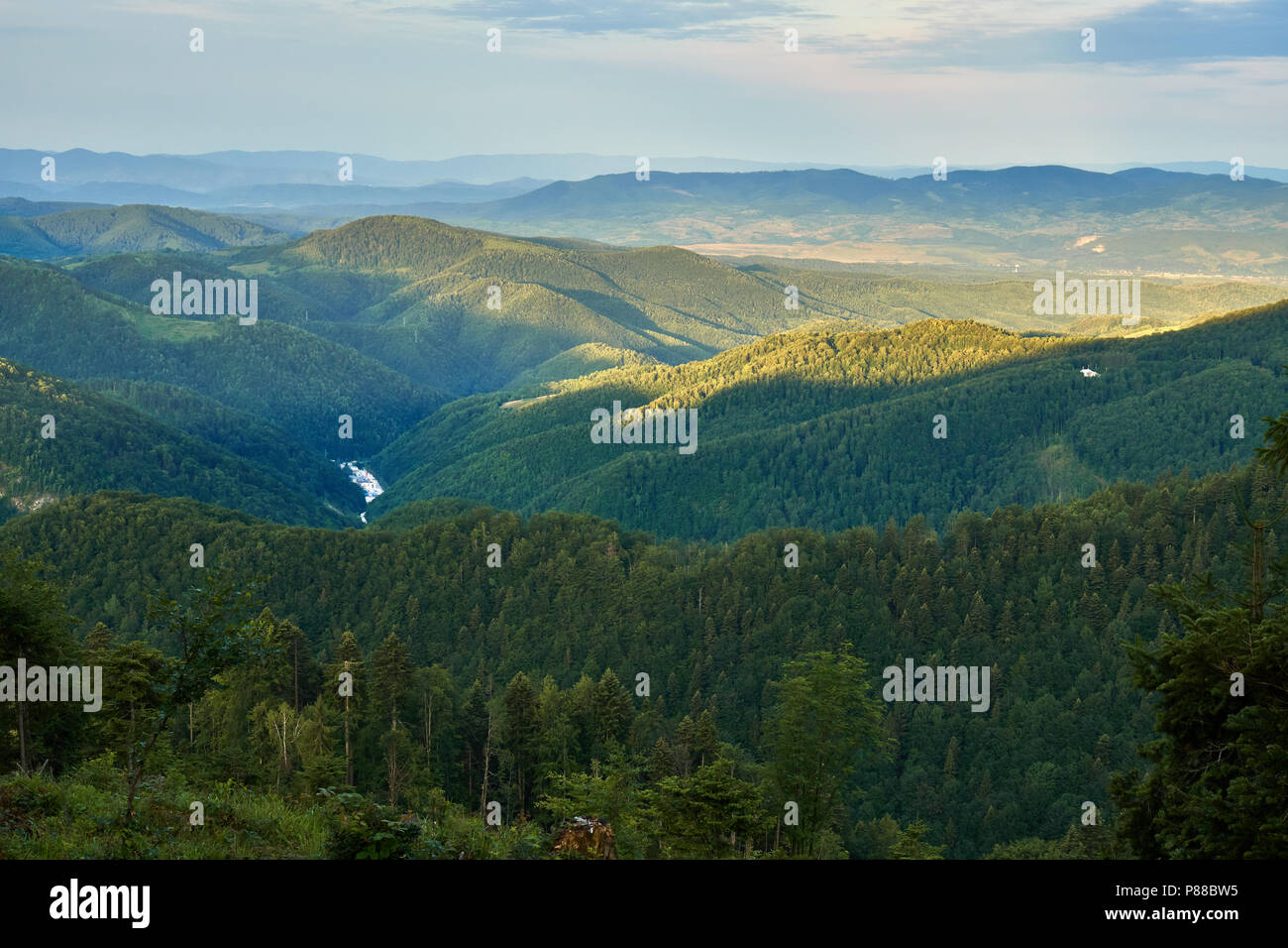 Sunrise in the highlands, mountains covered with forests in the summer ...