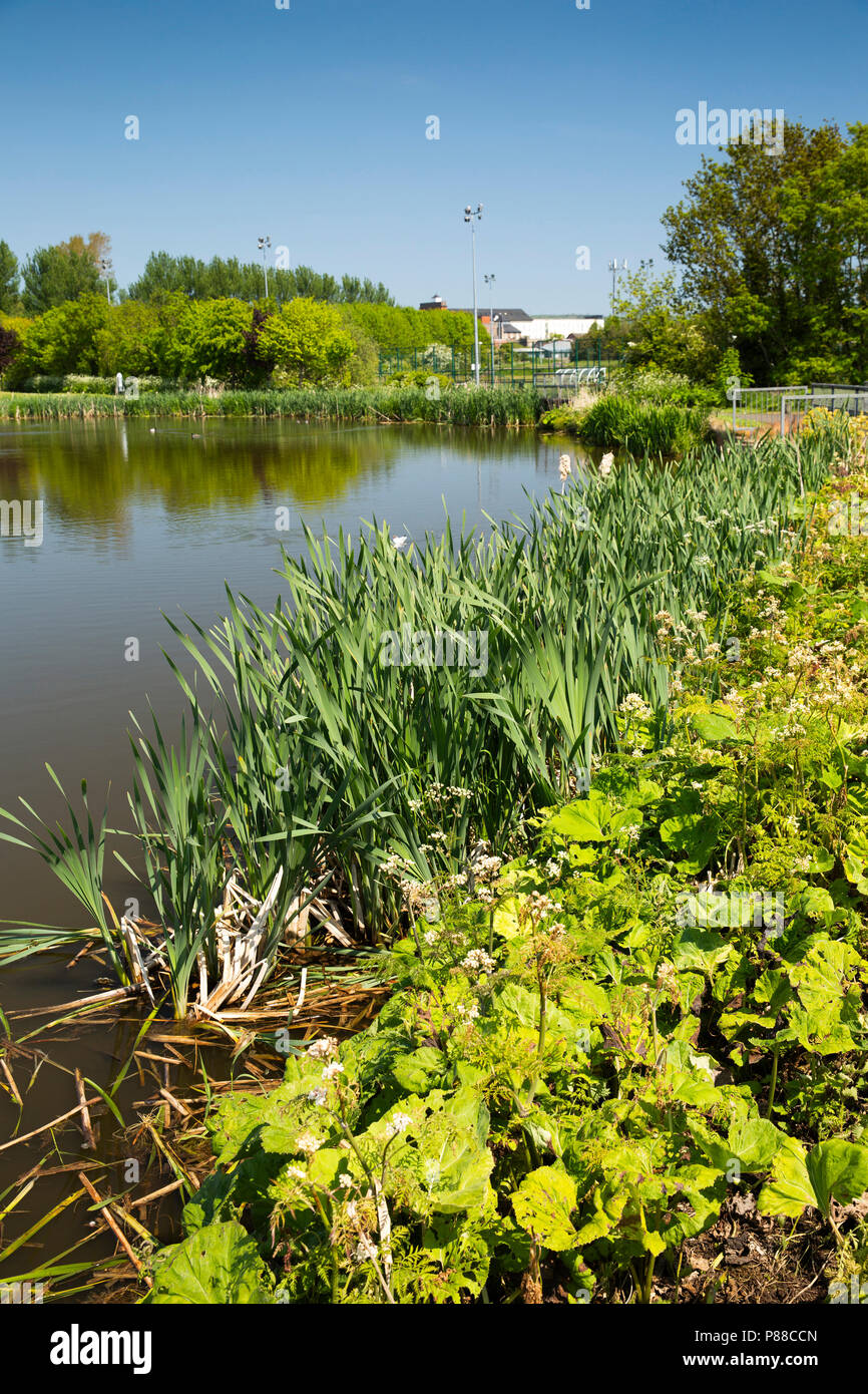 Mill ponds hi-res stock photography and images - Alamy