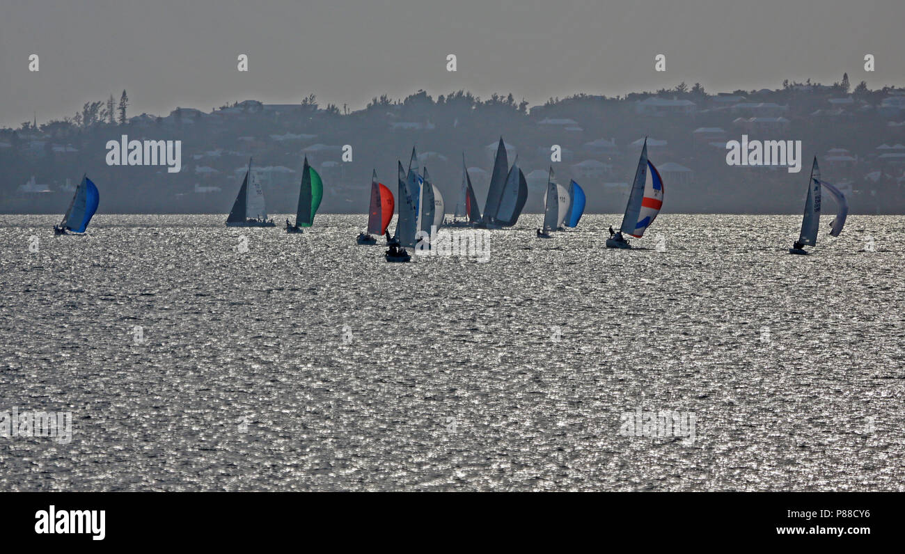sailboats with colorful sails racing in evening on bay Stock Photo - Alamy