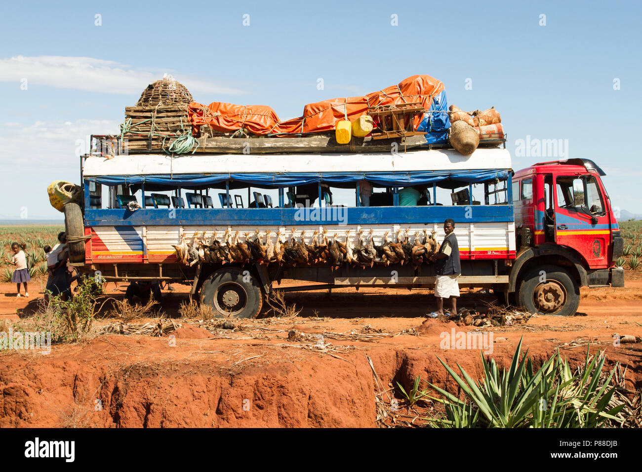 Chickens on the bus in Madagascar Stock Photo - Alamy