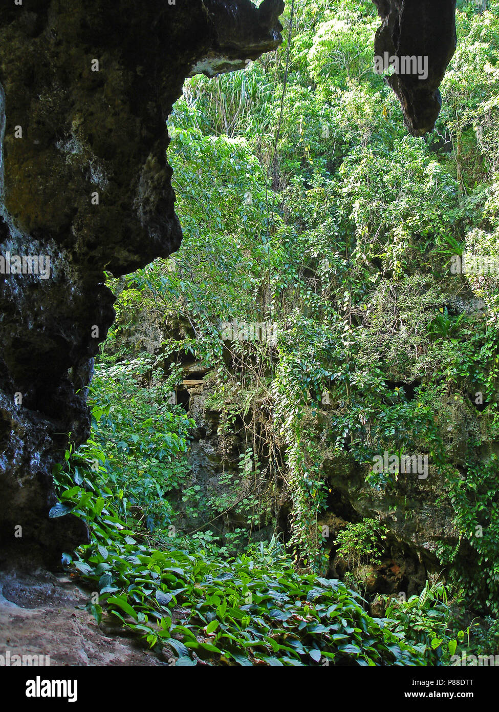 Mangaia Caves Cook Islands Stock Photo - Alamy