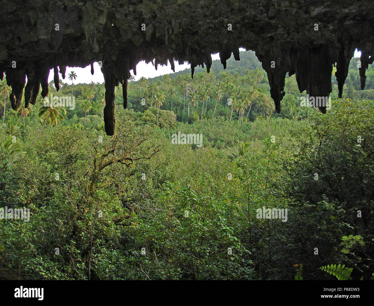 Mangaia Caves Cook Islands Stock Photo - Alamy
