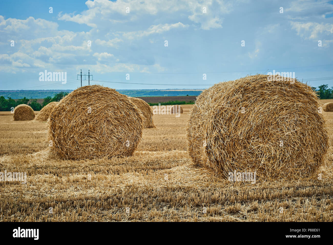 Hay bale field and beautiful blue sky. Agriculture. Rural nature. Farm ...