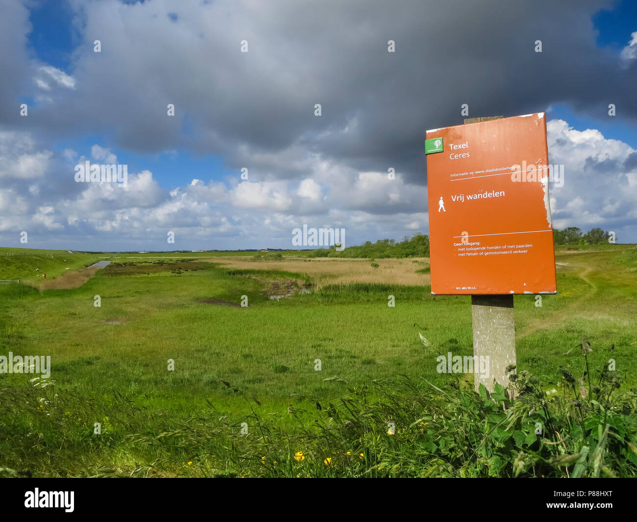 Landscape of Ceres at Texel in spring Stock Photo - Alamy