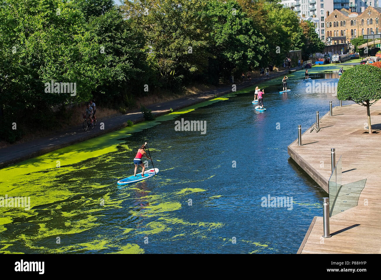 Paddle Barges High Resolution Stock Photography and Images - Alamy