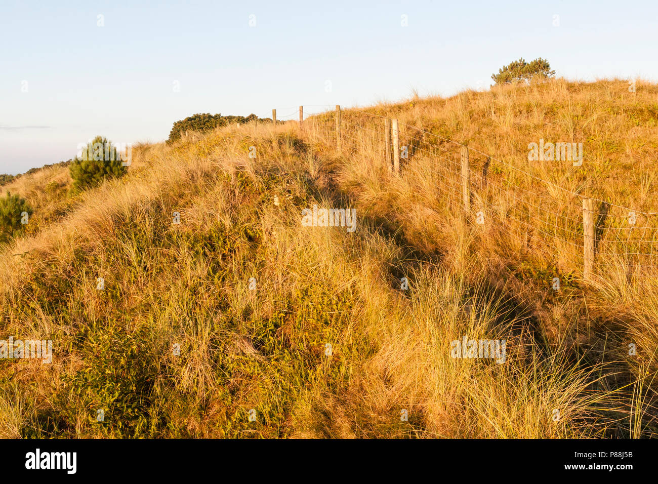 Wandelpad langs hek in duinen; Hiking path along fence in dunes Stock ...