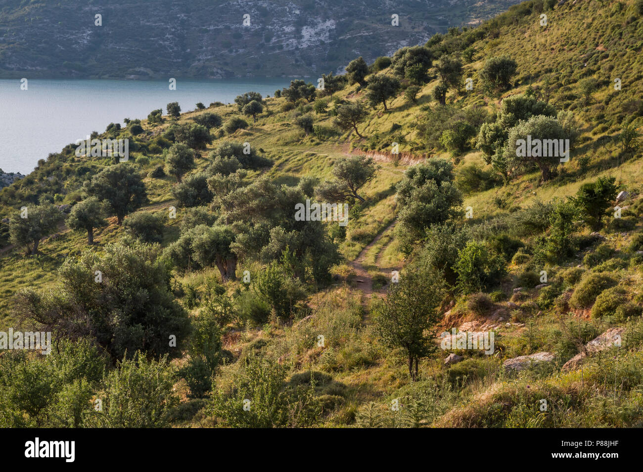 Mediterranean island cyprus hi-res stock photography and images - Alamy