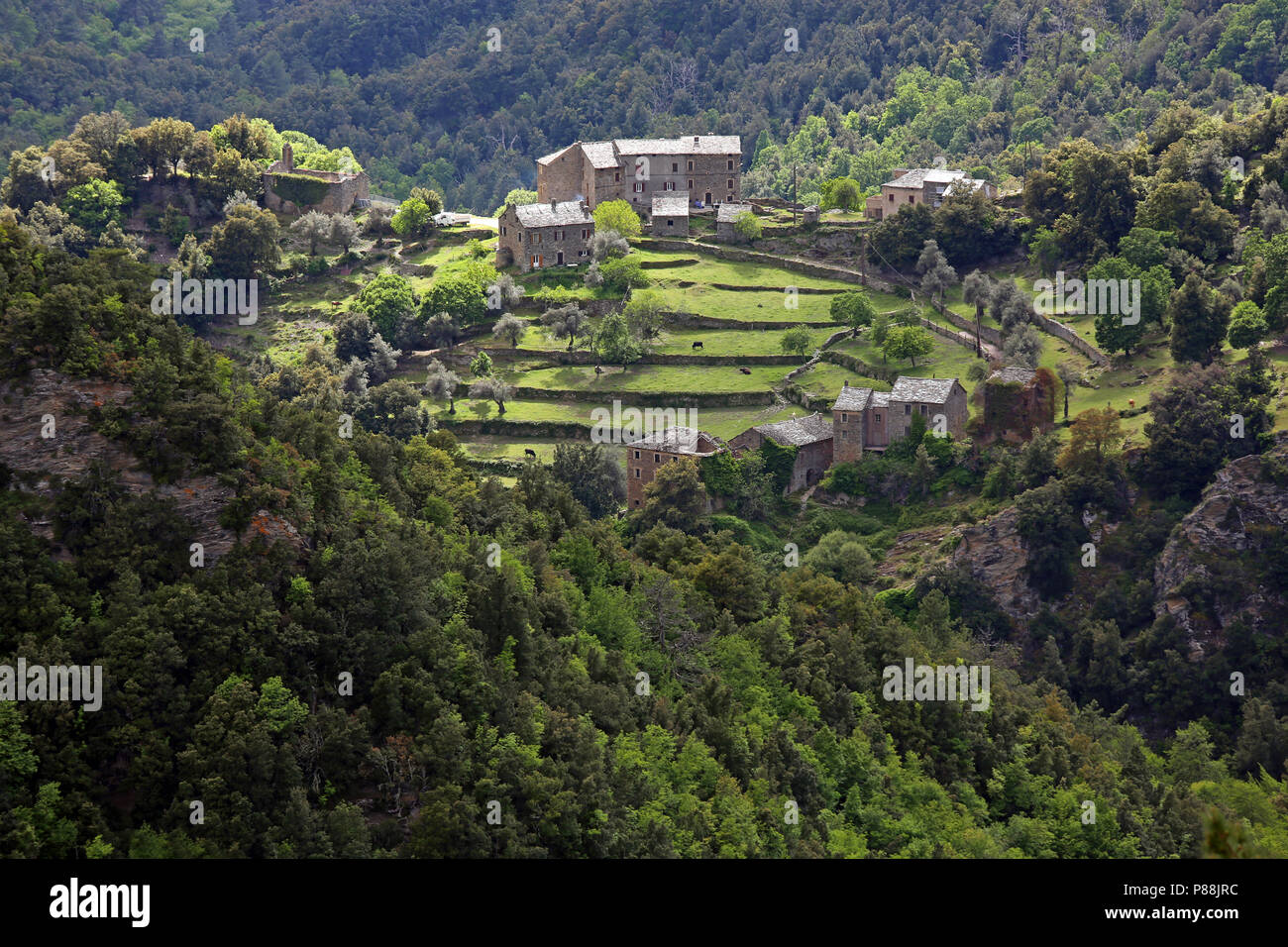 Morosaglia hi-res stock photography and images - Alamy