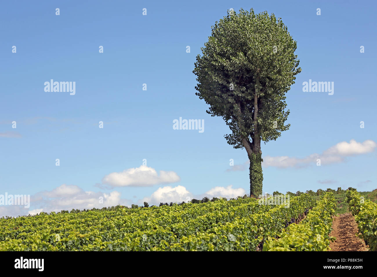 Bordeaux gironde france hi-res stock photography and images - Alamy
