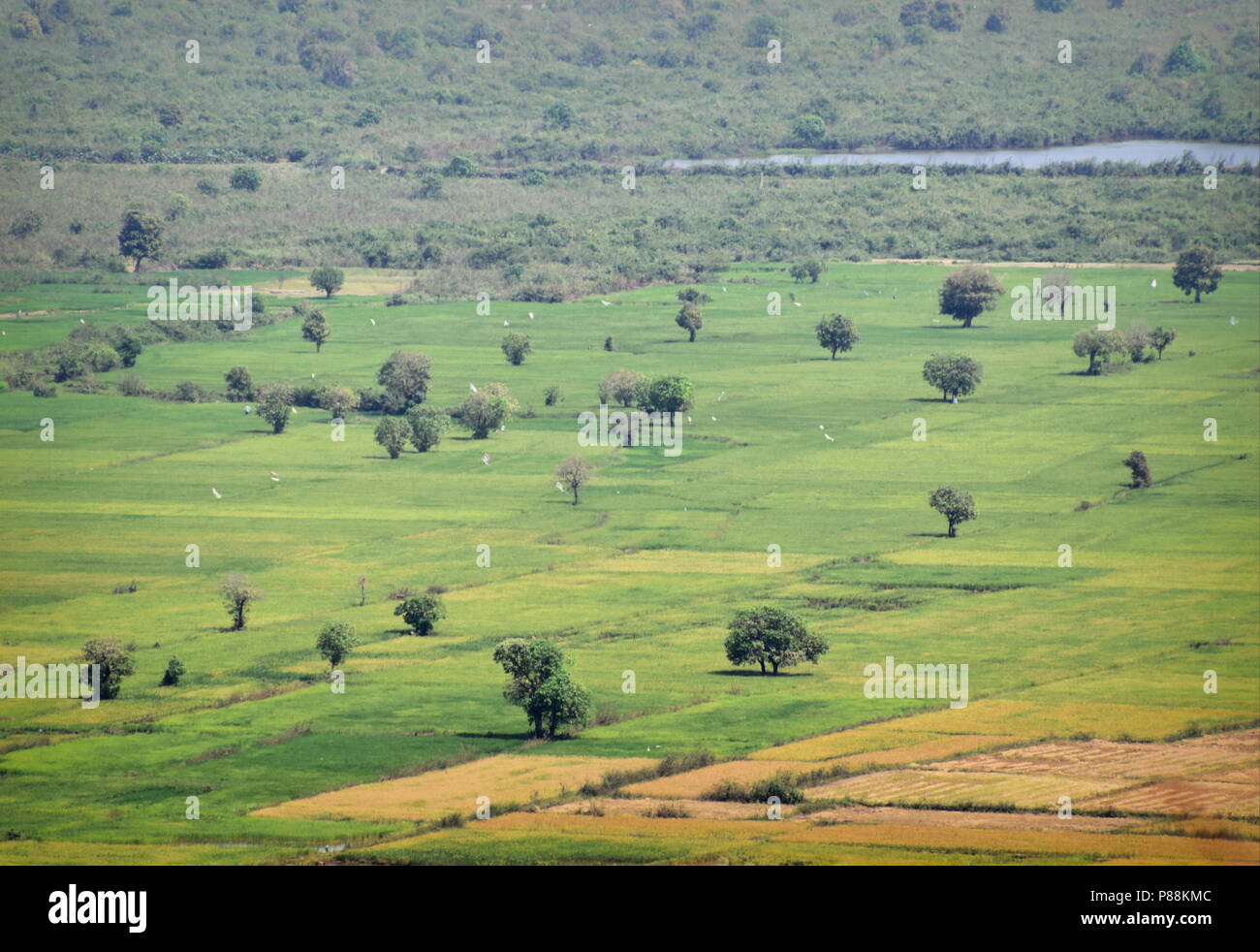 Cambodian natural landscape hi-res stock photography and images - Alamy