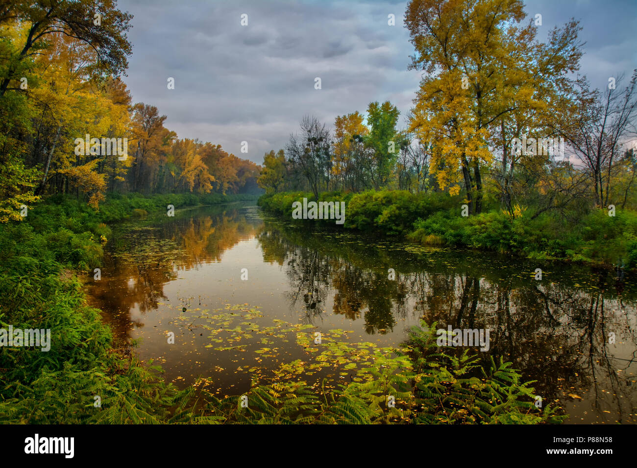 autumn landscape. the golden age of nature. rest on the beach Stock ...