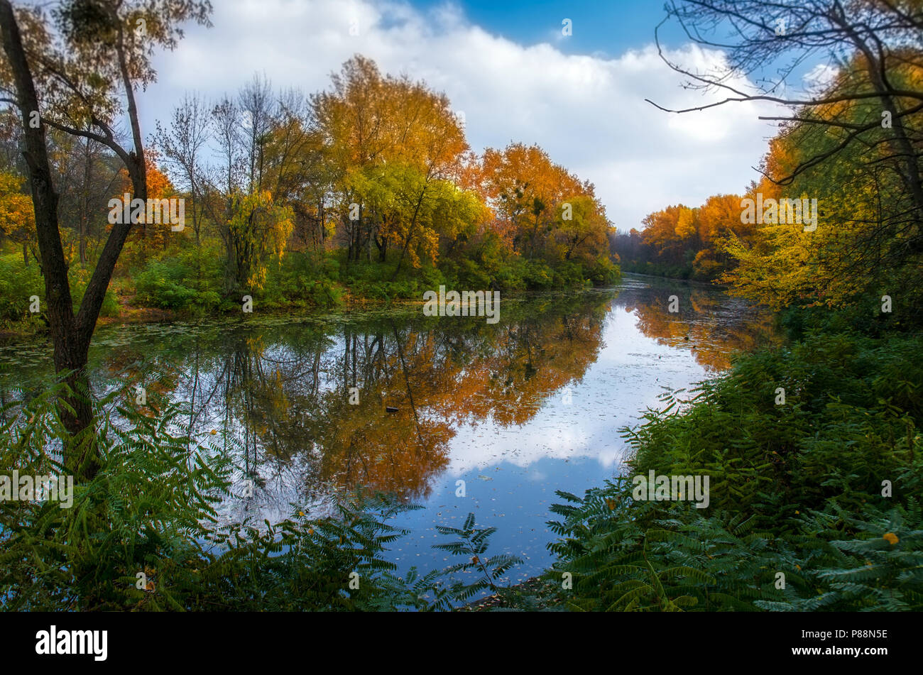 autumn landscape. the golden age of nature. rest on the beach Stock ...