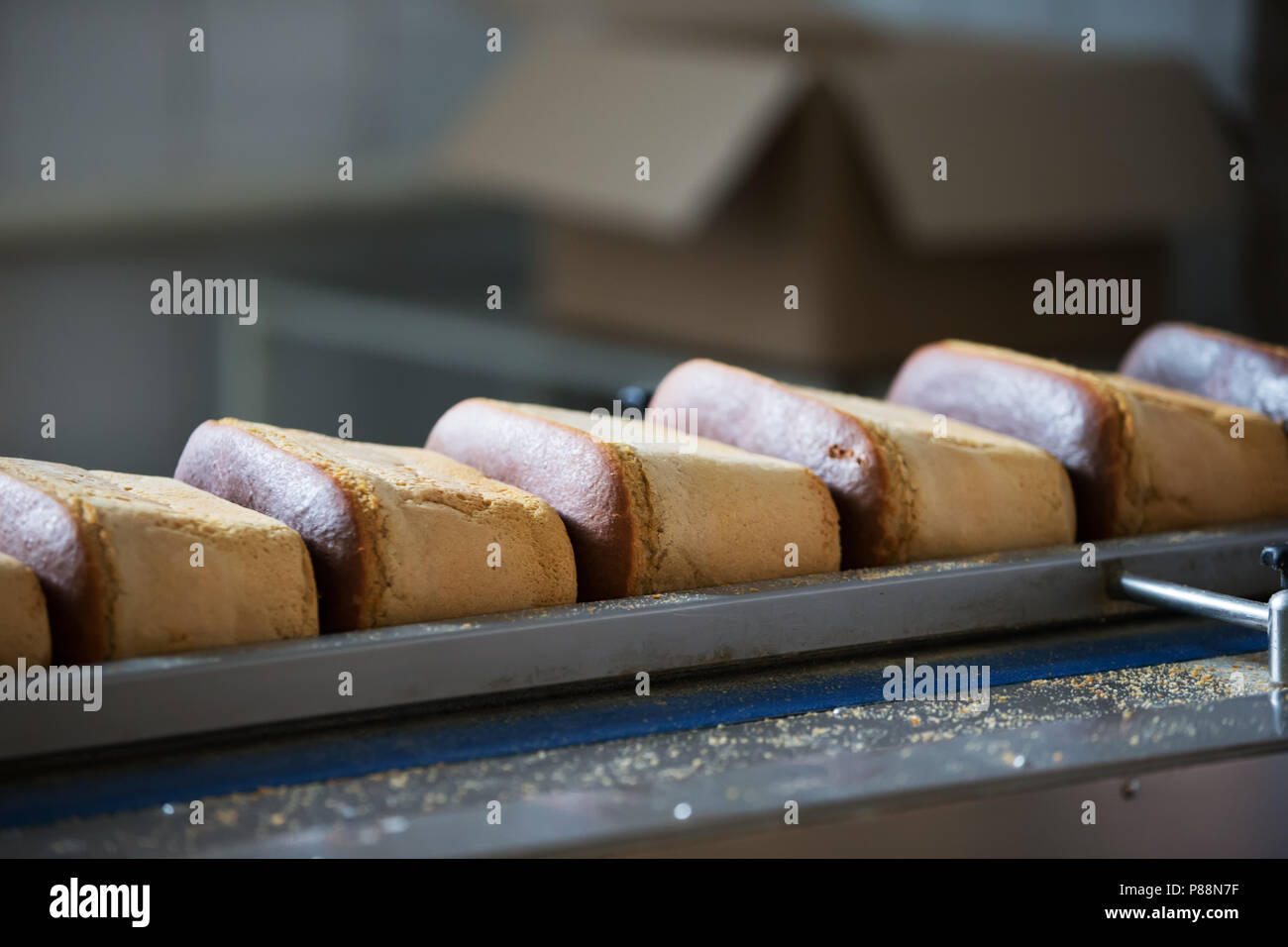 A production line for the production of bread. Bread on a conveyor belt ...