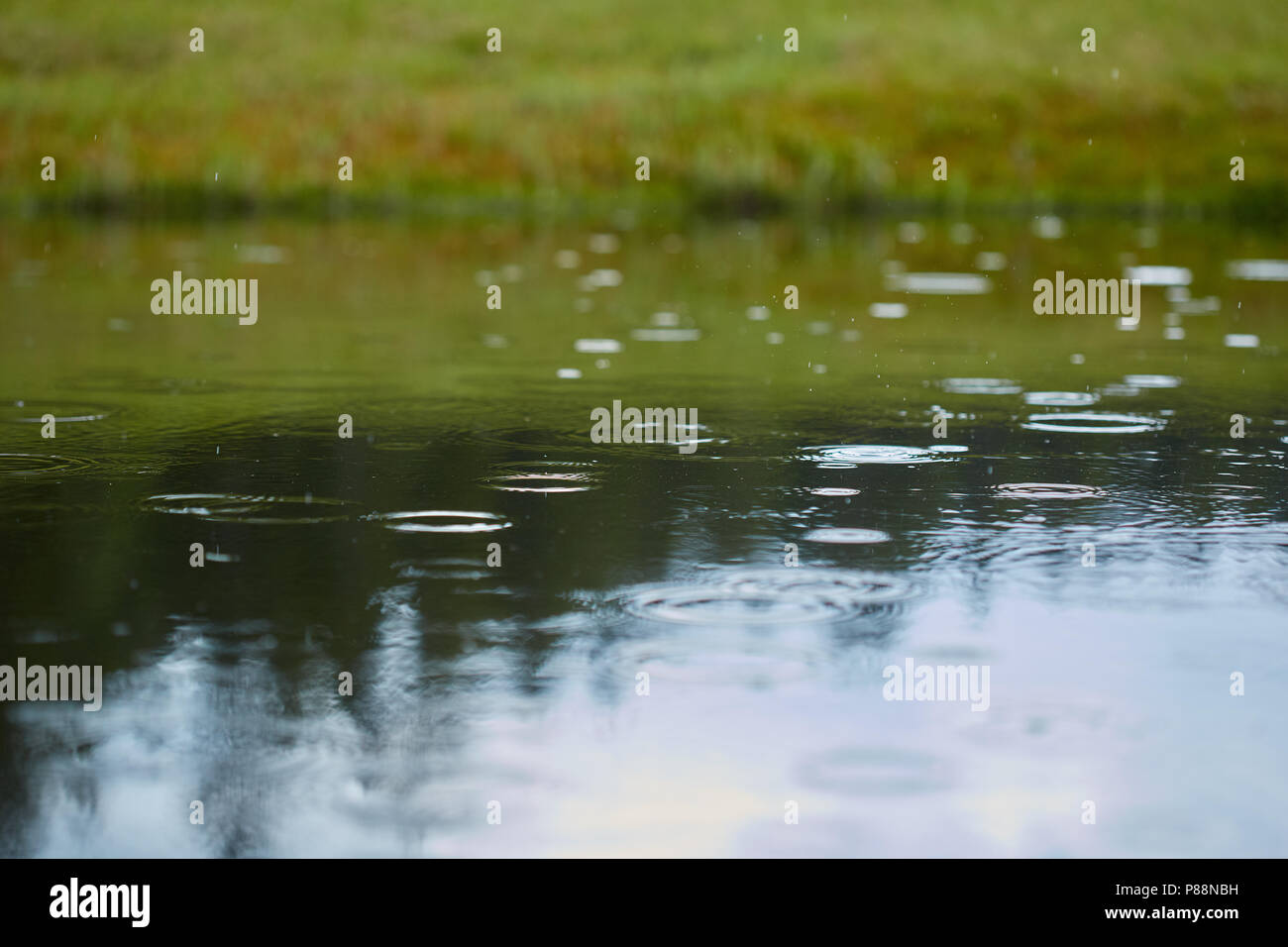 Rain falling on grass hi-res stock photography and images - Alamy