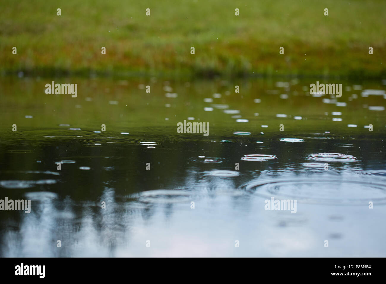 Rain drops falling in lake hi-res stock photography and images - Alamy