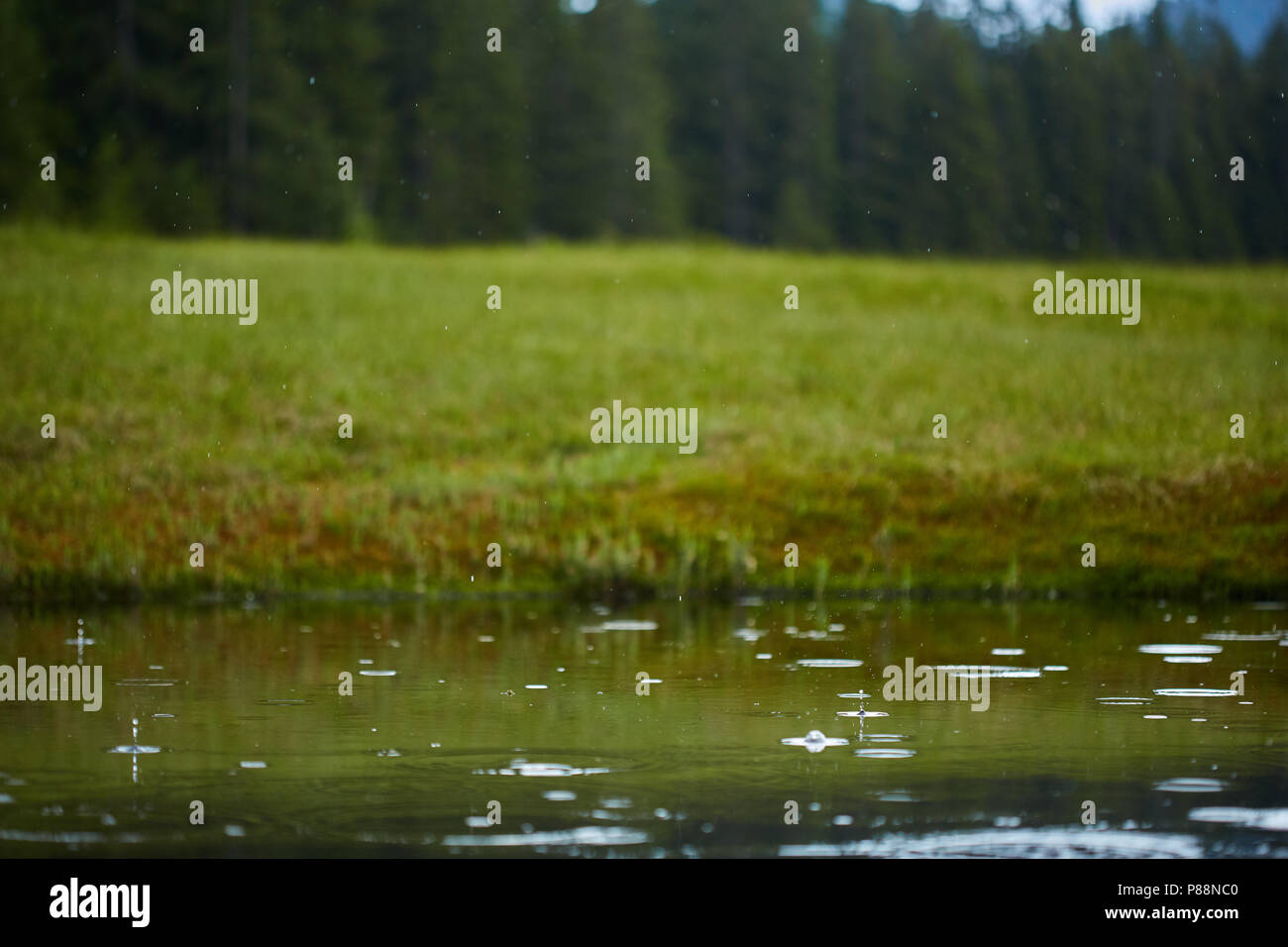 Raindrop rain drop lake hi-res stock photography and images - Alamy
