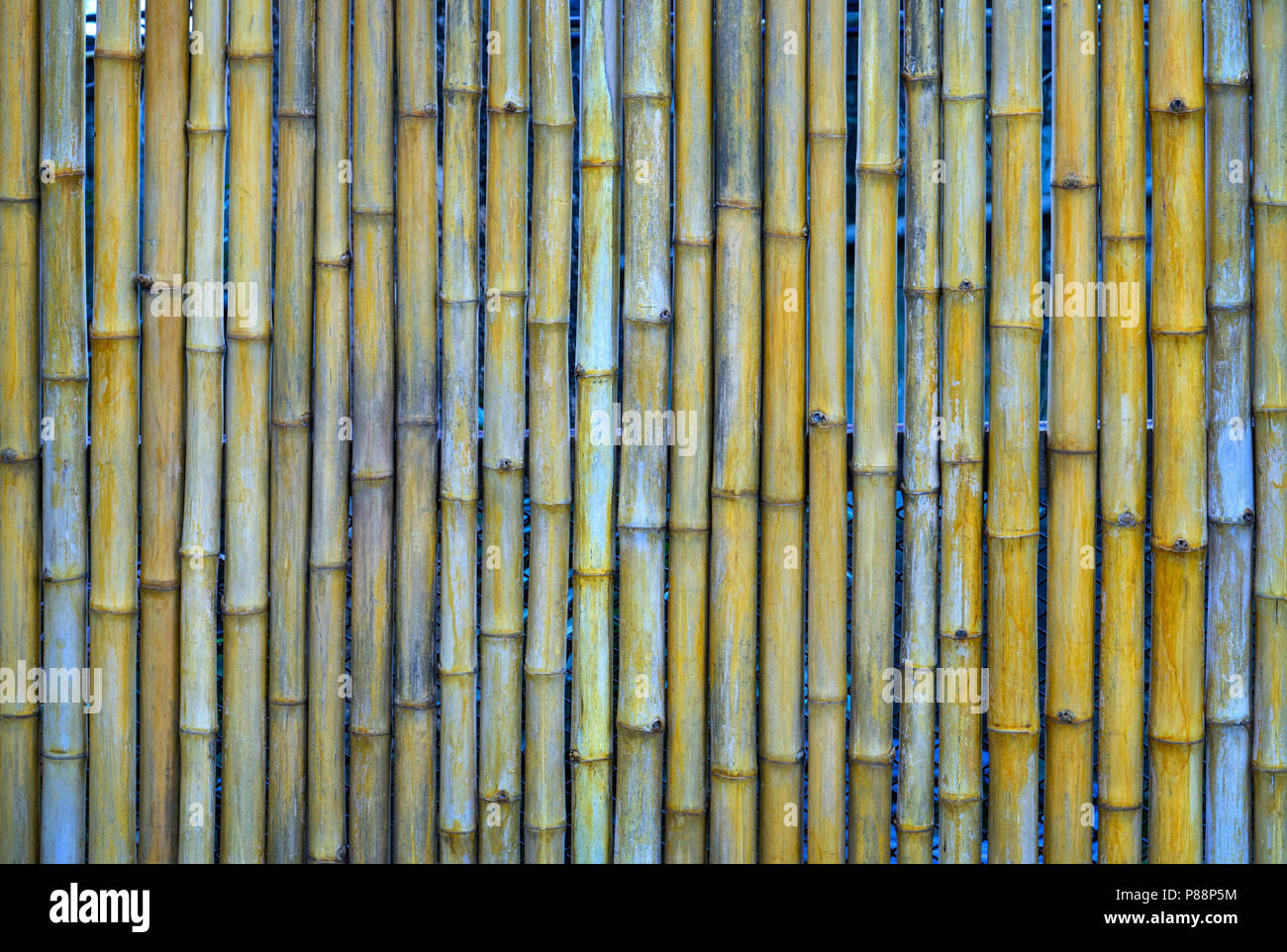 Bamboo piece hi-res stock photography and images - Alamy
