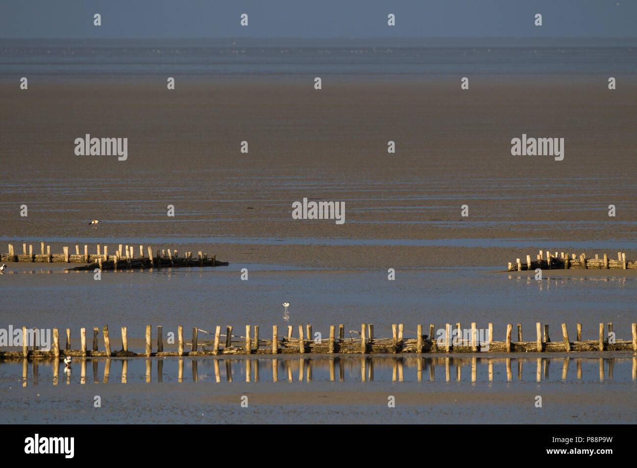 Laagwater High Resolution Stock Photography and Images - Alamy