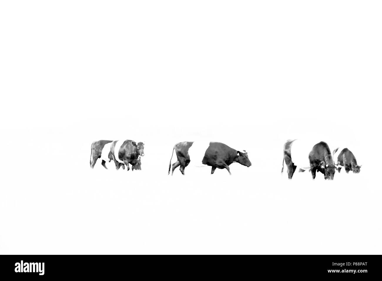 Nederland dutch holland Cut Out Stock Images & Pictures - Alamy