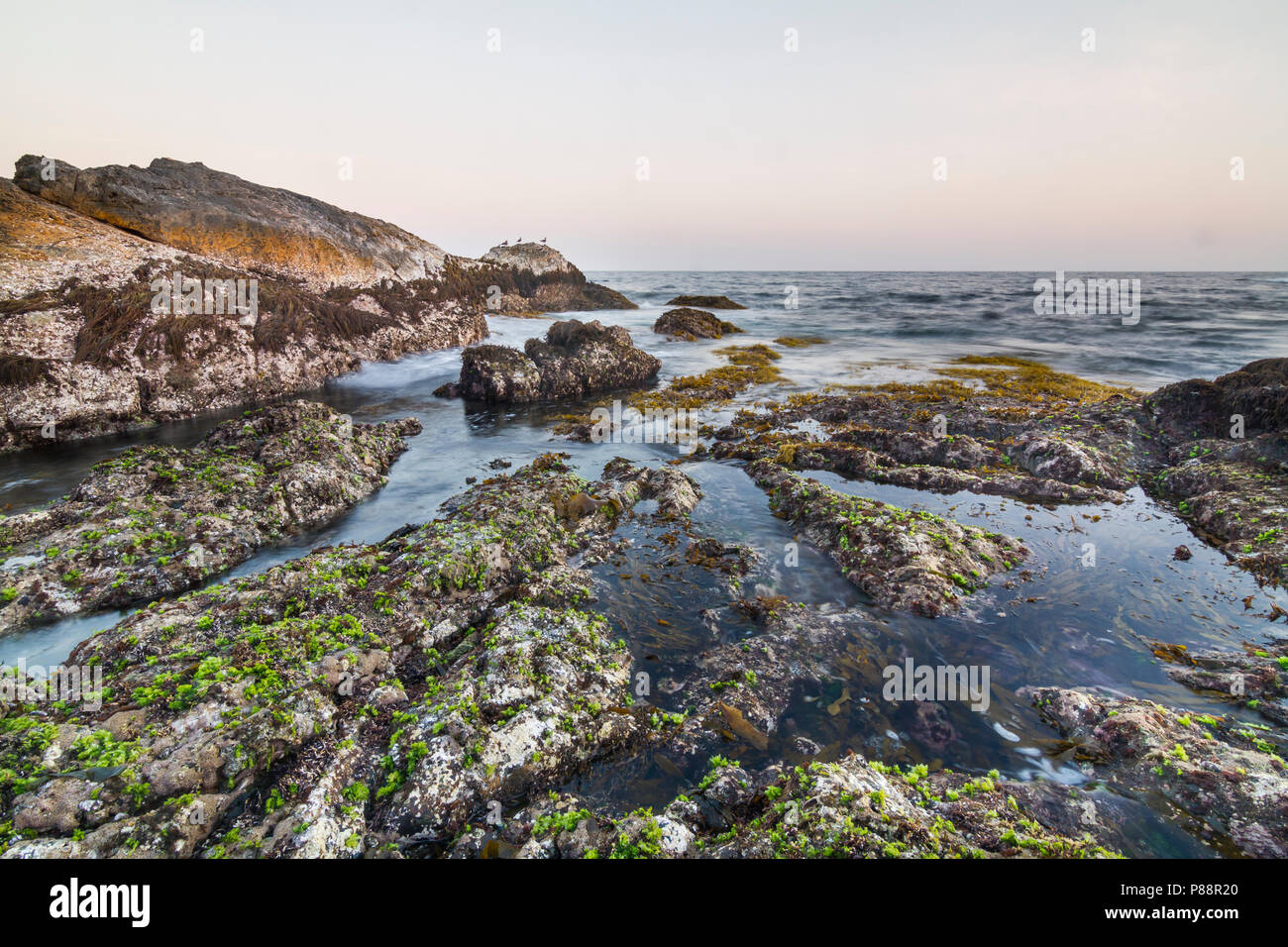 Mirbat High Resolution Stock Photography and Images - Alamy