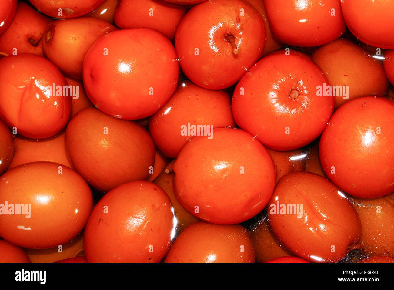 Monkey apple hi-res stock photography and images - Alamy