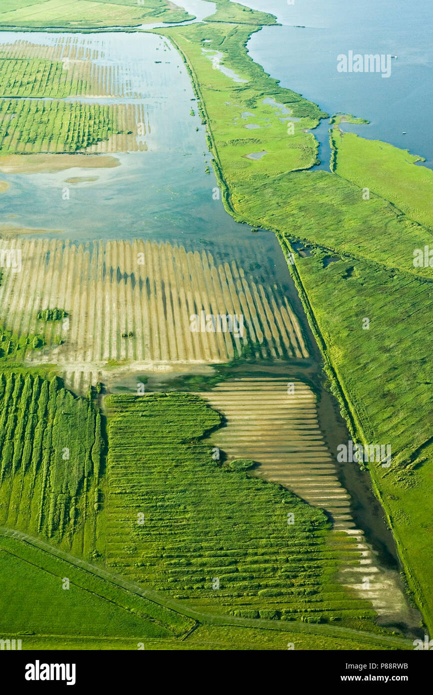 Dutch landscape seen from the air. The Netherlands photographed from ...