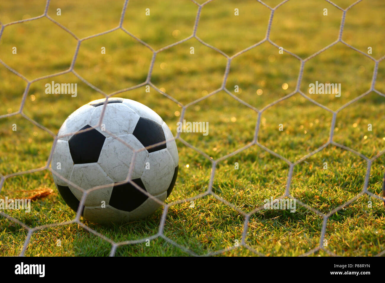 Soccer football in Goal net with green grass field Stock Photo - Alamy
