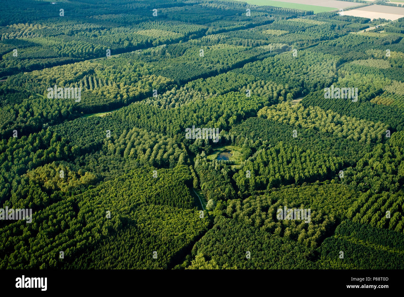 Aerial holland forest hi-res stock photography and images - Alamy