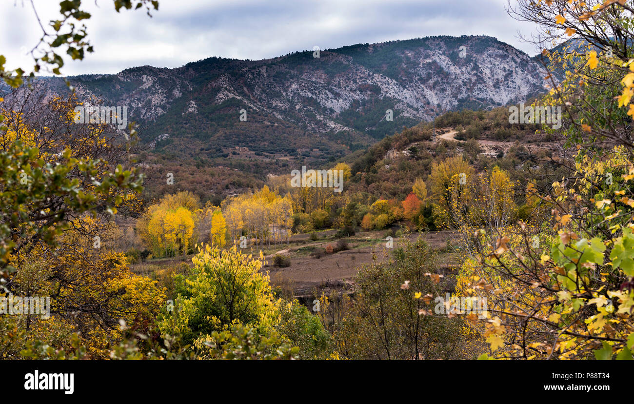 Pitarque hi-res stock photography and images - Alamy