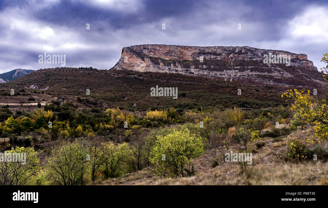 Cielo pardo hi-res stock photography and images - Alamy
