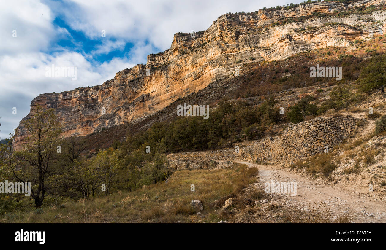 Cielo pardo hi-res stock photography and images - Alamy