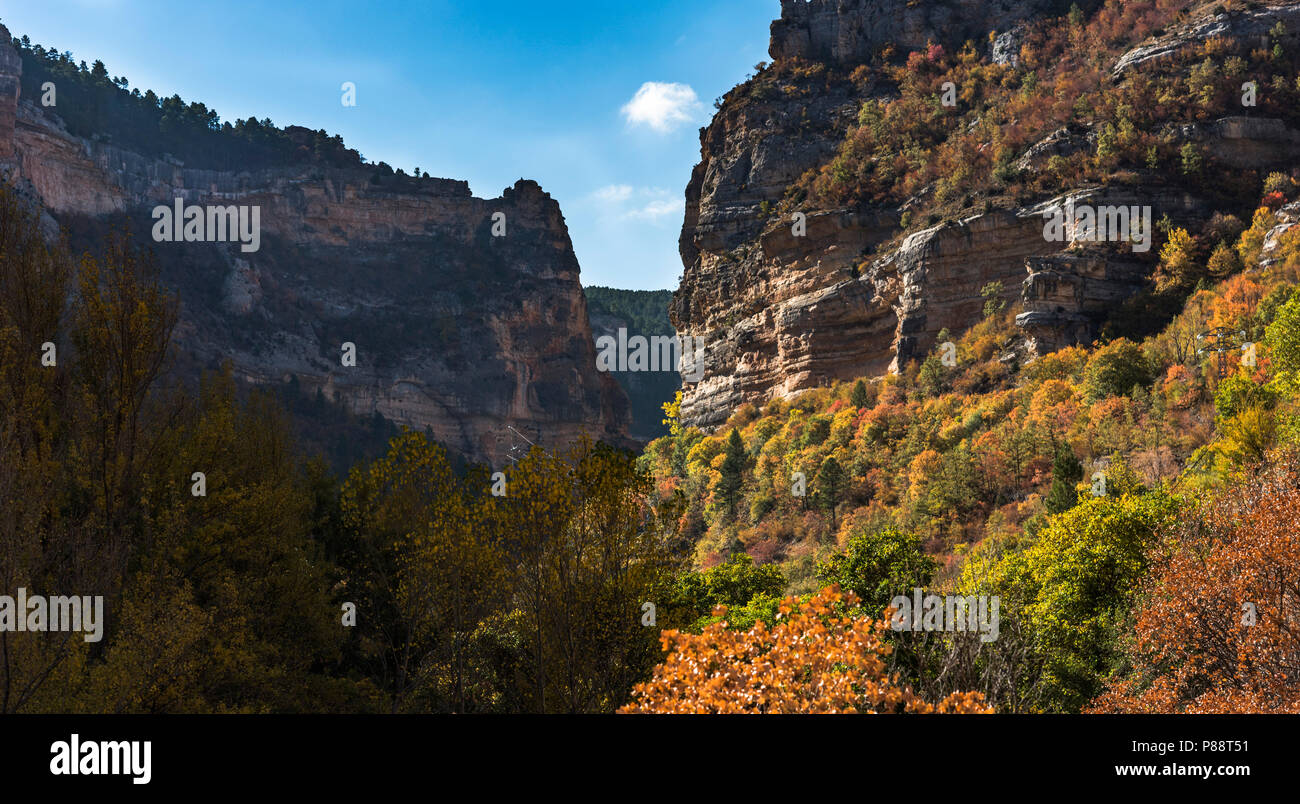 Cielo pardo hi-res stock photography and images - Alamy