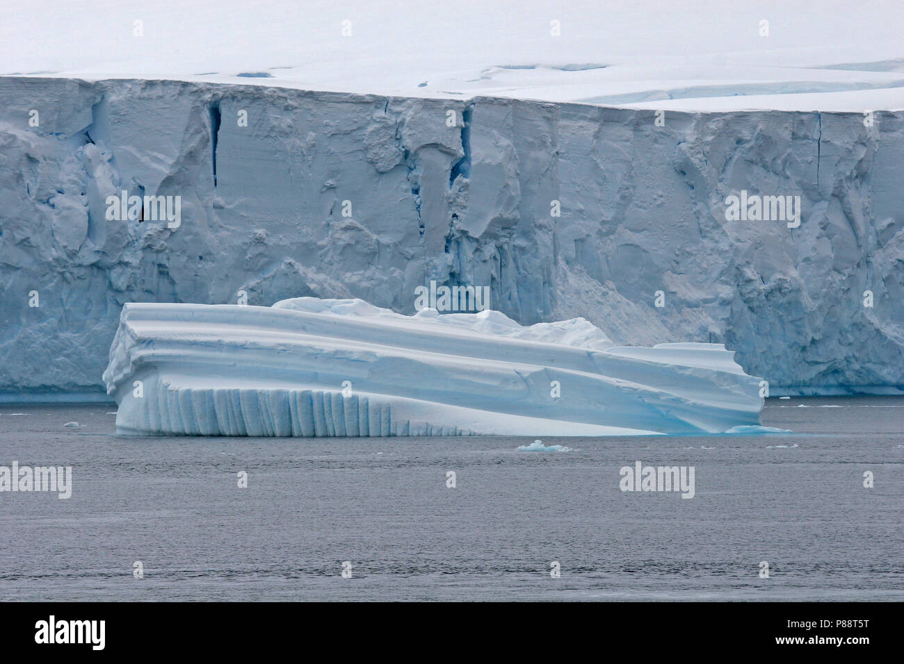 Scenery Neumayer Channel, Antarctica Stock Photo - Alamy