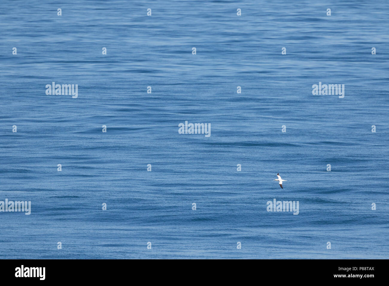 Vast and open hi-res stock photography and images - Alamy