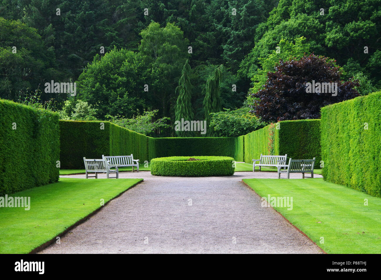Yew hedge hedges hedging hi-res stock photography and images - Alamy