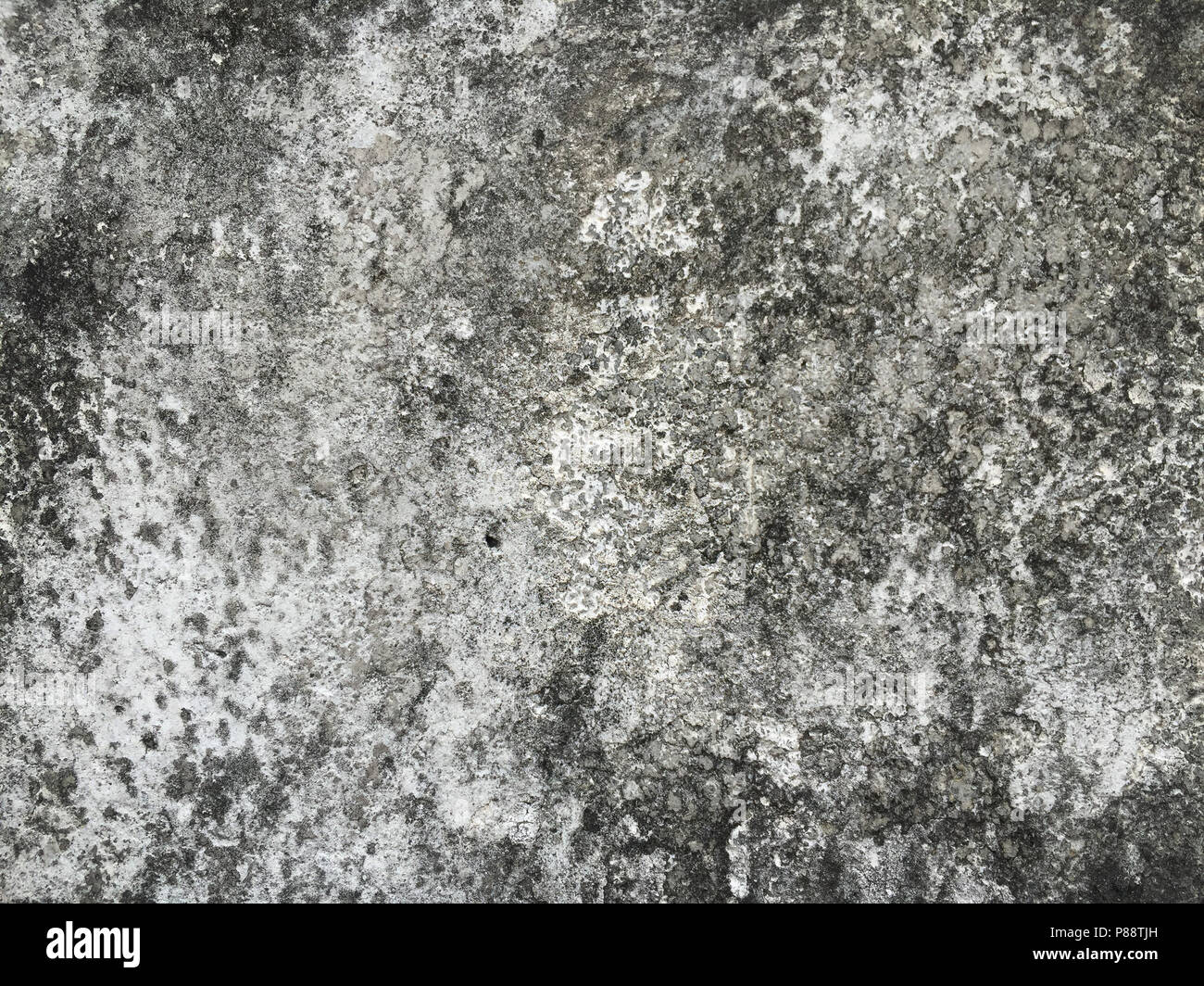Abstract Cement wall texture. Cement background. Cement for your ...