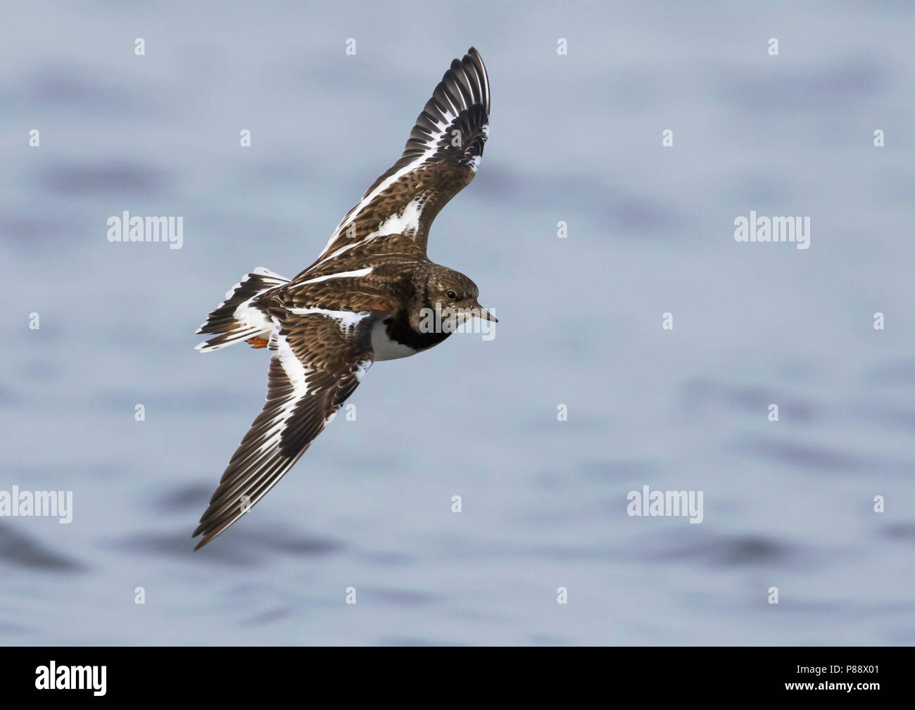 Nterpres hi-res stock photography and images - Alamy