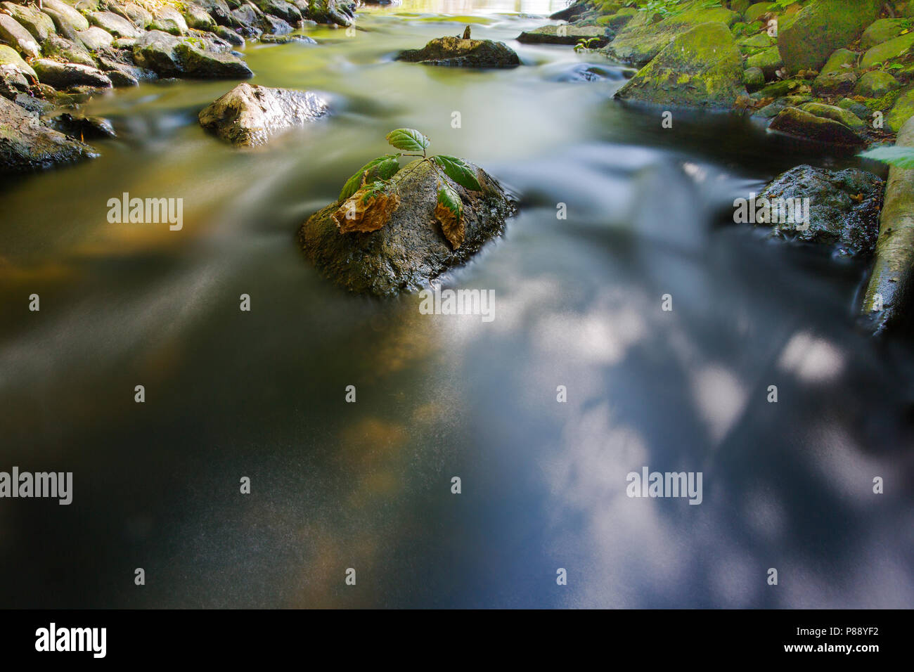 Vispassage bij fortificatie Daatselaar, fish ladder fortification ...