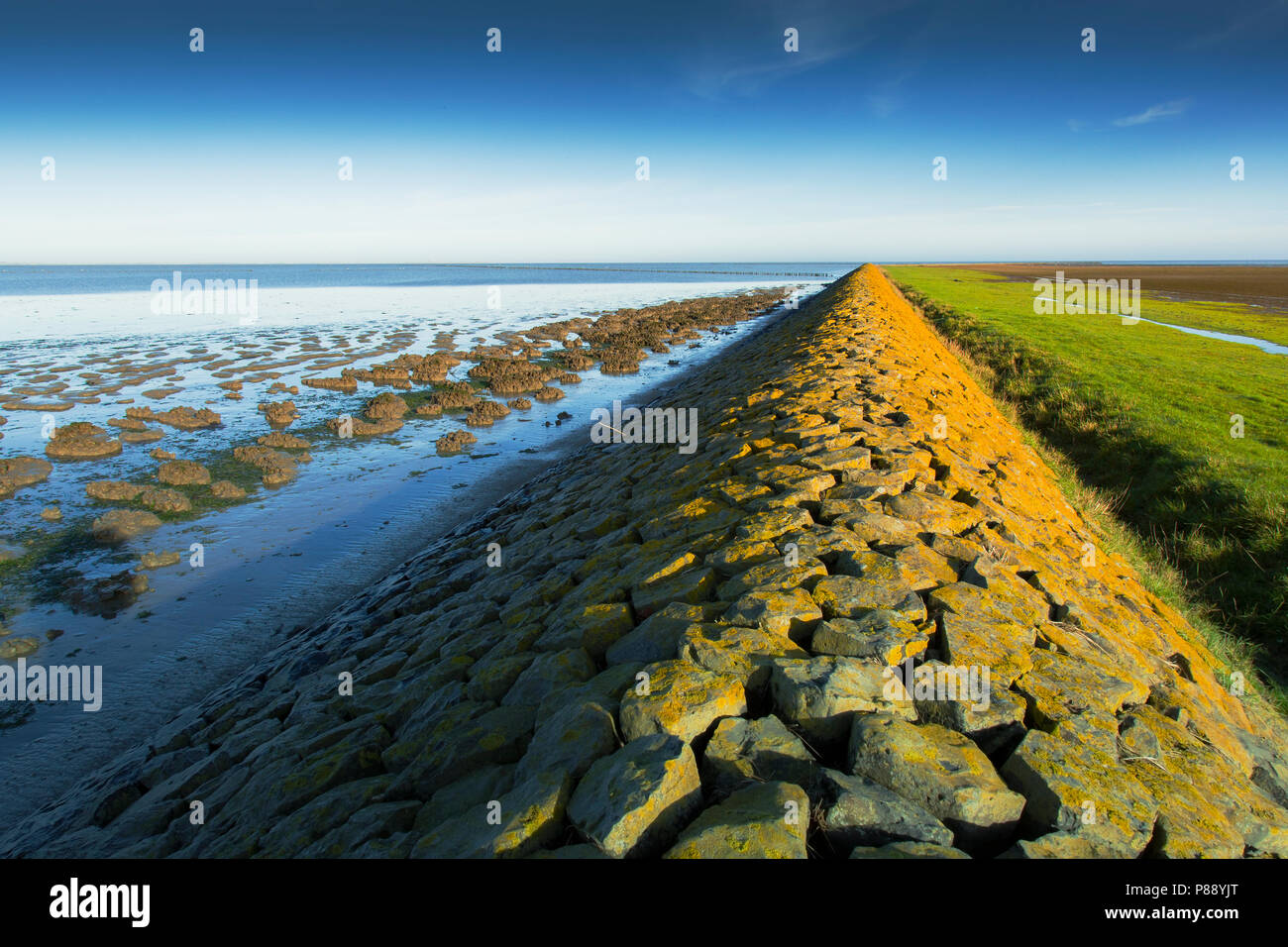 Ternaard hi-res stock photography and images - Alamy