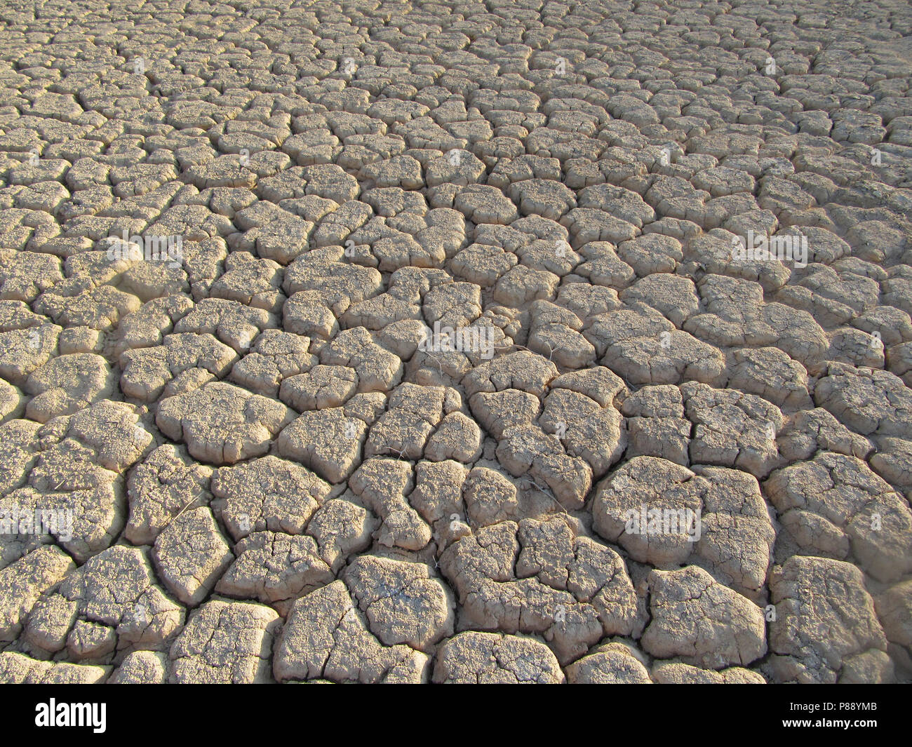 Wadi in israel hi-res stock photography and images - Alamy